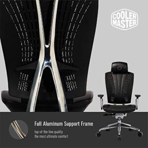 Cooler Master Ergo L Ergonomic Office Mesh Chair, Comfortable Computer Desk Chairs with High Back & Rolling Wheels for Home and Work, Lumbar Support Adjustable Backrest Headrest Armrest Deskchair