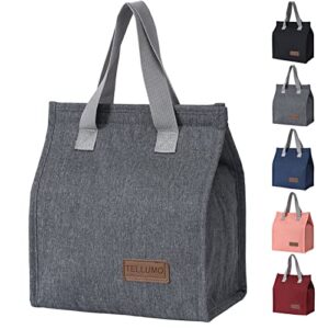 tellumo lunch bag, insulated lunch bag for women men large lunch box container reusable leakproof tote for office, work, school, beach or travel (minimalist grey)