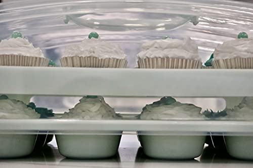 Top Shelf Elements Cupcake Carrier, Fashionable Green Cupcake Holder Carries 24 Standard-Size Cupcakes, Durable Muffin Traveler Two Tier Stand and Reusable Cupcake Box