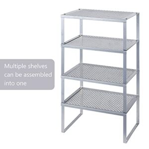 NEX Kitchen Shelf Organizer for Cabinet Counter Cupboard Pantry, Stackable & Expandable, Dark Silver