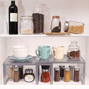 NEX Kitchen Shelf Organizer for Cabinet Counter Cupboard Pantry, Stackable & Expandable, Dark Silver