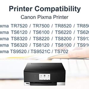 Miss Deer Compatible 281 Black Ink Cartridges Replacement for Canon CLI-281XXL CLI281XXL for Pixma TR7520 TR8520 TS6120 TS6220 TS8120 TS8320 TS9120 (Small Black) 2-Pack