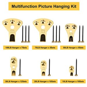 125 pcs Picture Hangers, Heavy Duty Picture Hanging Kit with Nails, Professional Picture Hanging Kit on Wooden/Drywall for Canvas, Office Pictures, Clock, House Decoration, Holds 10-100 lbs