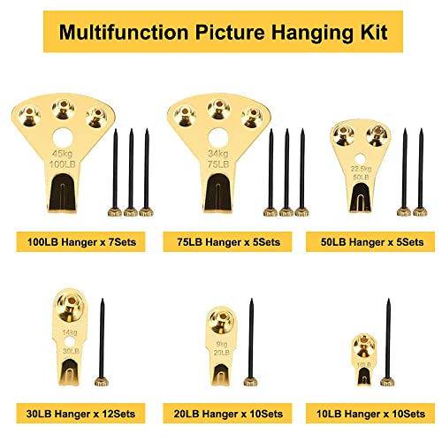 125 pcs Picture Hangers, Heavy Duty Picture Hanging Kit with Nails, Professional Picture Hanging Kit on Wooden/Drywall for Canvas, Office Pictures, Clock, House Decoration, Holds 10-100 lbs