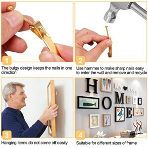 184 Pieces Picture Hanging Kit, 20lb, 30lb, and 50lb Picture Hangers, Metal Picture Hanging Hooks with Nails, on Drywall, Wooden Wall(Gold)