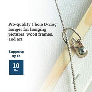 D Ring Picture Hangers with Screws - 100 Pack - Bulk D Rings - Pro Quality d-Rings - Picture Hang Solutions