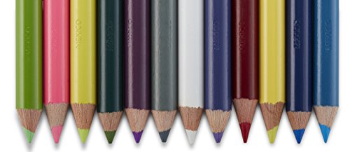 Prismacolor Scholar Colored Pencils, 60 Pack