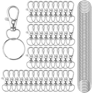 100pcs keychain hooks with key rings, metal swivel lobster claw clasps, for keychain clip lanyard, jewelry making, crafts (silver)