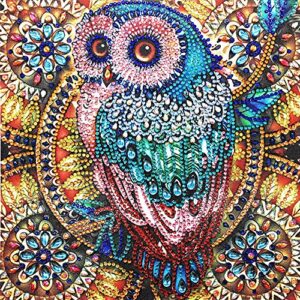 hibah diamond painting diy 5d special shape rhinestone, owl, partial diamond crystal diamond painting set (mandala)