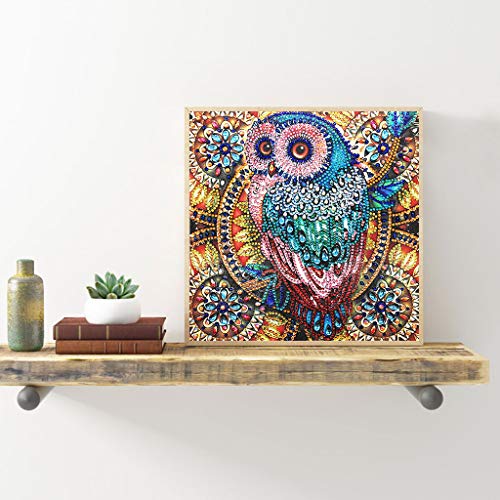 Hibah Diamond Painting DIY 5D Special Shape Rhinestone, Owl, Partial Diamond Crystal Diamond Painting Set (Mandala)