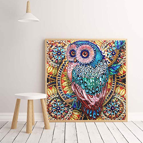 Hibah Diamond Painting DIY 5D Special Shape Rhinestone, Owl, Partial Diamond Crystal Diamond Painting Set (Mandala)