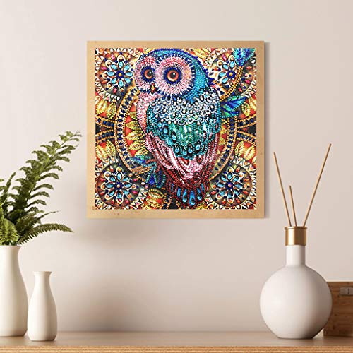 Hibah Diamond Painting DIY 5D Special Shape Rhinestone, Owl, Partial Diamond Crystal Diamond Painting Set (Mandala)