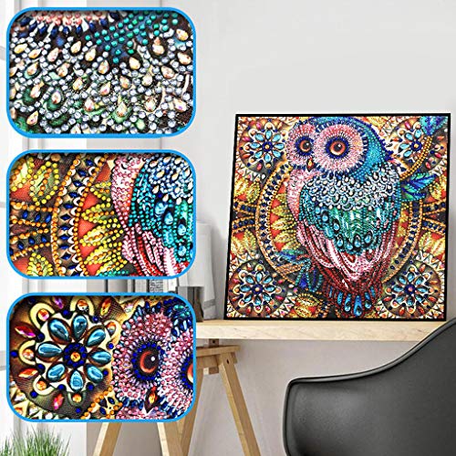 Hibah Diamond Painting DIY 5D Special Shape Rhinestone, Owl, Partial Diamond Crystal Diamond Painting Set (Mandala)