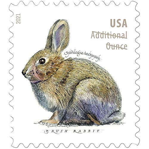 Brush Rabbit Additional Ounce Forever Postage Stamps Sheet of 20 US Postal First Class Wedding Celebration Anniversary Party (20 Stamps) Use Three of These Stamps for one Ounce Letters.