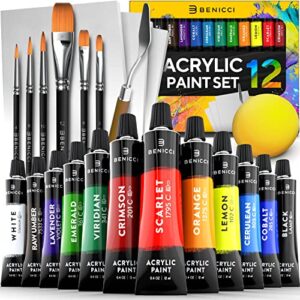 Acrylic Paint Set for Kids, Artists and Adults - 12 Vibrant Colors, 6 Brushes and 3 Paint Canvases - Perfect for Beginners or Professionals