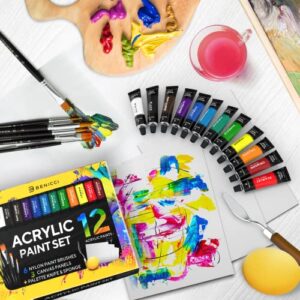 Acrylic Paint Set for Kids, Artists and Adults - 12 Vibrant Colors, 6 Brushes and 3 Paint Canvases - Perfect for Beginners or Professionals