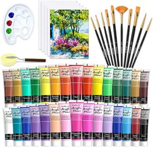 48 pack acrylic paint set, shuttle art 30 colors acrylic paint (36ml) with 10 brushes 5 canvas 1 paint knife 1 palette 1 sponge, complete set for kids, adults painting on canvas rocks wood ceramic