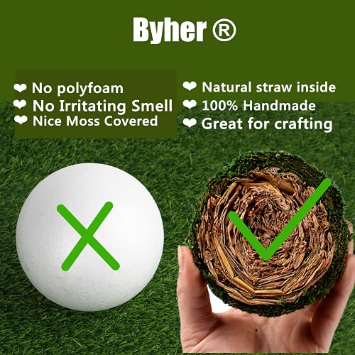 BYHER Natural Green Moss Decorative Ball,Handmade (3.5"-Set of 6)