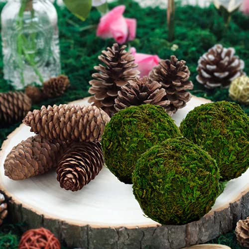 BYHER Natural Green Moss Decorative Ball,Handmade (3.5"-Set of 6)