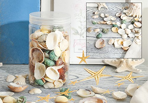 Famoby Sea Shells Mixed Beach Seashells Starfish for Beach Theme Party Wedding Decorations DIY Crafts Candle Making Fish Tank Vase Fillers Home Decorations Supplies 70+ pcs