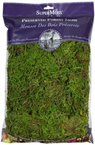 supermoss (25322) forest moss preserved, fresh green, 8oz