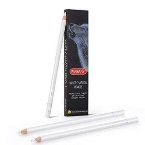 PANDAFLY White Charcoal Pencils Drawing Set, Professional 5 Pieces Sketch Highlight White Pencils for Drawing, Sketching, Shading, Blending, White Chalk Pencils for Beginners & Artists