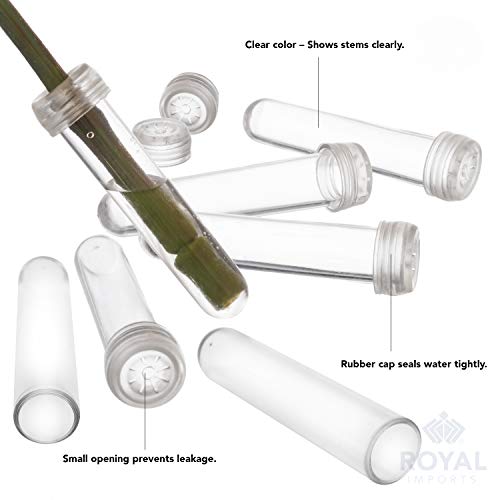 Floral Water Tubes/Vials for Flower Arrangements by Royal Imports, Clear - 3" (1/2" Opening) - Standard - 100/Pack - w/Caps