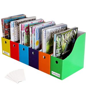 evelots magazine file holder-organizer-full 4 inch wide-6 colors-w/labels-set/6