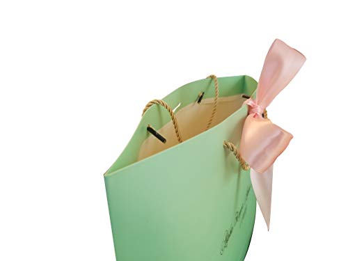 AKA Sorority Paraphernalia Large Gift Bags with Handles- 14x11x4 inch Kraft Paper with Bow Ribbon (2-Pack)