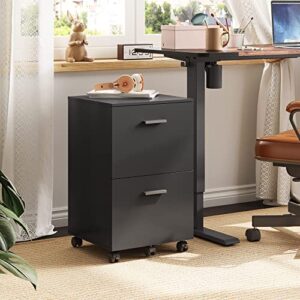 DEVAISE 2 Drawer File Cabinet, Mobile Printer Stand, Wood Filing Cabinet fits A4 or Letter Size for Home Office, Black