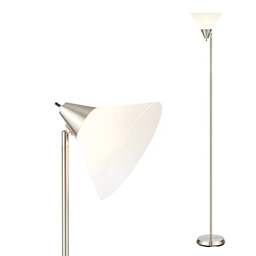 HonoDing Floor Lamp Standing Lamp Adjustable Head Arcylic Shade Floor Lamps for Living Room/Office/Bedroom (Satin Nickel)