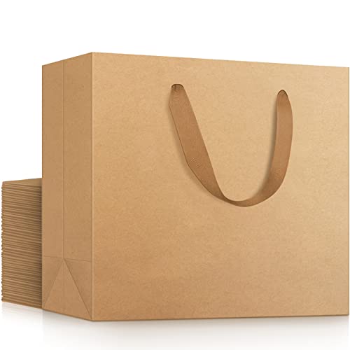 EUSOAR Kraft Paper Gift Wrap Bags, 25pcs Small 10.6"x3.1"x8.3" Reusable Sturdy Heavy Duty Shopping Bags with Handle Bulk, Retail, Boutique, Business,Wedding Party Favor,Grocery,Restaurant Take-Out Bag