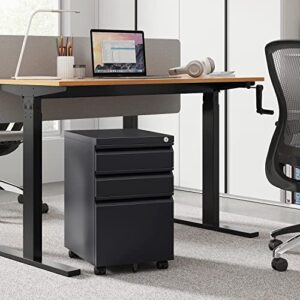 DEVAISE 3 Drawer Mobile File Cabinet Under Desk Office, Fully Assembled Except Casters, Letter/Legal Size, Black