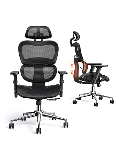 ErGear Office Chairs, Ergonomic Office Chair, Mesh Desk Chair with Adaptive Lumbar Support, High Back Computer Chair with Adjustable backrest Height and Headrest, Swivel Mesh Chair for Home Office