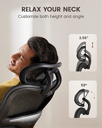 ErGear Office Chairs, Ergonomic Office Chair, Mesh Desk Chair with Adaptive Lumbar Support, High Back Computer Chair with Adjustable backrest Height and Headrest, Swivel Mesh Chair for Home Office