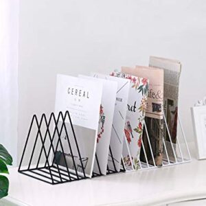 Cq acrylic Triangle File Folder Racks and Magazine Holder,10 Lattice Metal Newspaper Holder Magazine File Storage for Office Home Decoration,Black