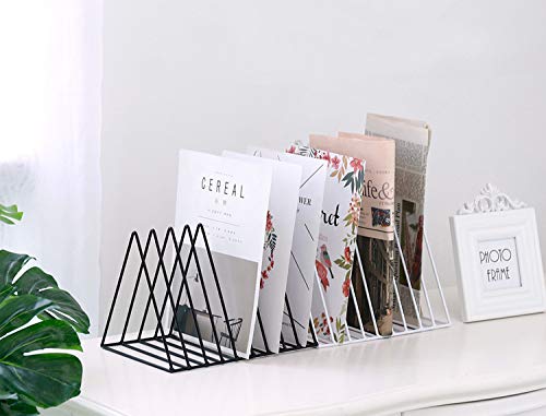 Cq acrylic Triangle File Folder Racks and Magazine Holder,10 Lattice Metal Newspaper Holder Magazine File Storage for Office Home Decoration,Black