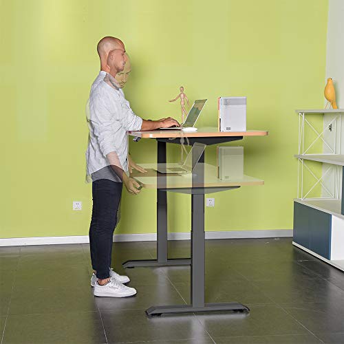 Fromann Electric 3 Tier Legs Dual Motor Desk Base Handset with USB A and C Ports - Sit Stand up Standing Height Adjustable Desk Frame for Home and Office AKB01