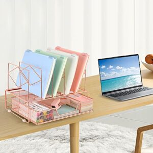 Spacrea Rose Gold Desk Organizers - File Organizer Desk Accessories with Vertical File Folder Holders & Sliding Drawer, Office Supplies for Workspace College Dorm Home(Binder Clips Included)