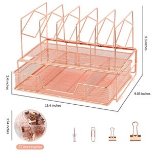 Spacrea Rose Gold Desk Organizers - File Organizer Desk Accessories with Vertical File Folder Holders & Sliding Drawer, Office Supplies for Workspace College Dorm Home(Binder Clips Included)