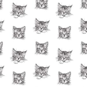 Stesha Party Black Kitty Cat Wrapping Paper Kitten Animal Gift Wrap 30 x 20 Inch (3 Sheets)