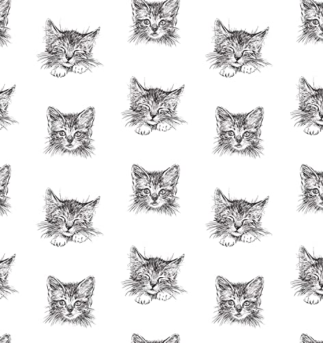 Stesha Party Black Kitty Cat Wrapping Paper Kitten Animal Gift Wrap 30 x 20 Inch (3 Sheets)