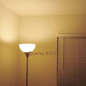 Quaray 10 Inch Plastic Bowl Lamp Shade for Torchiere Floor Lamp, White, B250