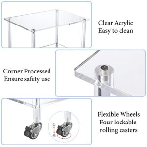 HMYHUM Acrylic Printer Stand - 2-Tier Under Desk Printer Table with Wheels - Multifunctional Rolling Cart for Office & Home, Clear