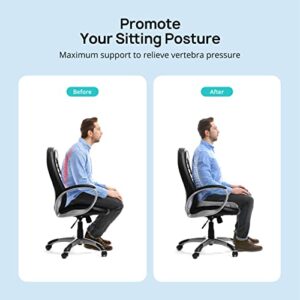 Evajoy Seat Cushion for Office Chair, Gel & Memory Foam Cushion with Ergonomic Design, Carrying Handle, Non-Slip Butt Pillow for Lower Back, Coccyx, Sciatica, Tailbone Pain Relief