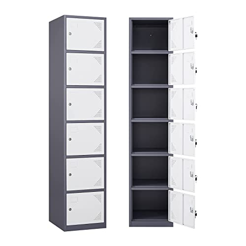 MIIIKO 6 Door Locker, Storage Lockers Cabinet with Keys, Lockable Locker Cabinet for Employees, School, Gym and Home Office