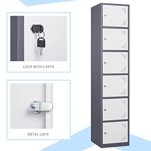 MIIIKO 6 Door Locker, Storage Lockers Cabinet with Keys, Lockable Locker Cabinet for Employees, School, Gym and Home Office