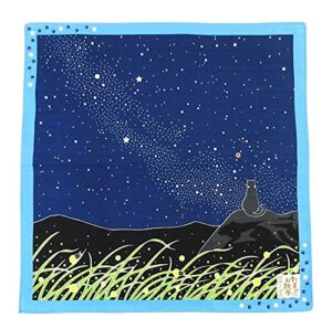 furoshiki- japanese wrapping cloth (traveling-cat : milky way)