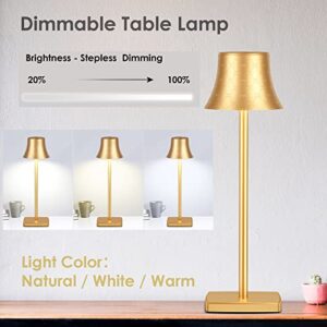 JALVDE Battery Powered Table Lamp, Rechargeable Cordless LED Desk Lamp Minimalist 5000mAh Battery Operated Lamp (2X Gold)