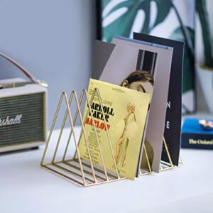 Pashion Vinyl Record Stand Holder, Desktop Album Storage Rack, Triangle Vinyl Record Shelf Display Vinyl Coated Metal Wire Rack Functional & Stylish Display Rack for Office Home